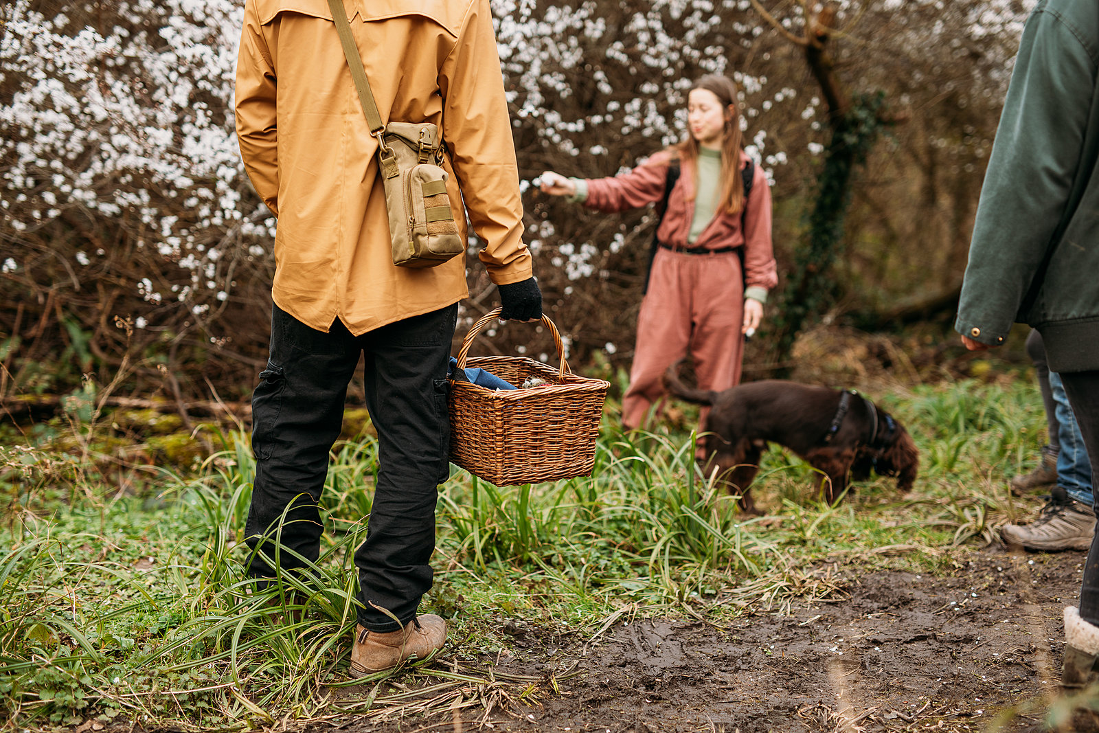 Wild herb foraging walk with Healing Weeds | Bristol - Yuup