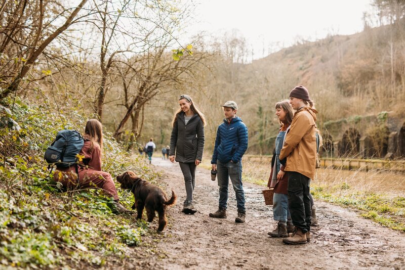 Discover Edible Plants: Fun Group Foraging Walk - Yuup